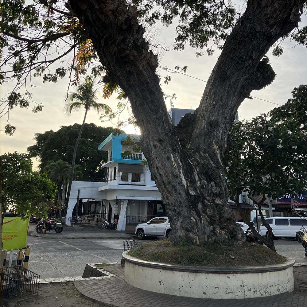 6-4 | Buglas Writers Journal