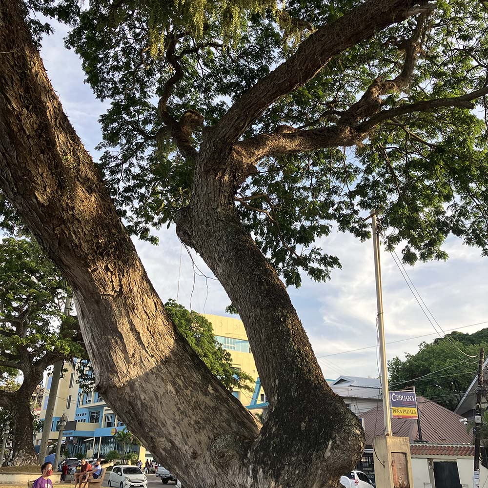 8-4 | Buglas Writers Journal